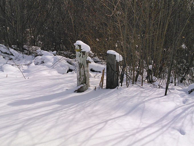 Winter transforms abandoned pathways into pristine snowscapes, the white blanket temporarily hiding decades of neglect beneath.