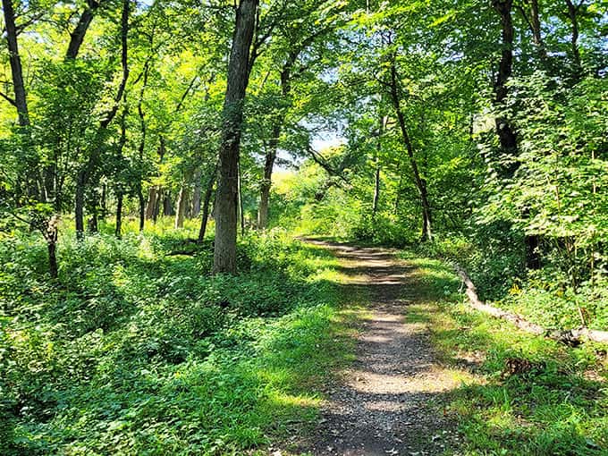 Forest trails wind through the preserve like nature's own maze, minus the Minotaur but plus the occasional startled deer.