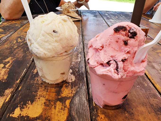 The classic duo – vanilla and strawberry sitting side by side like old friends catching up on a summer afternoon, ready to brighten someone's day.