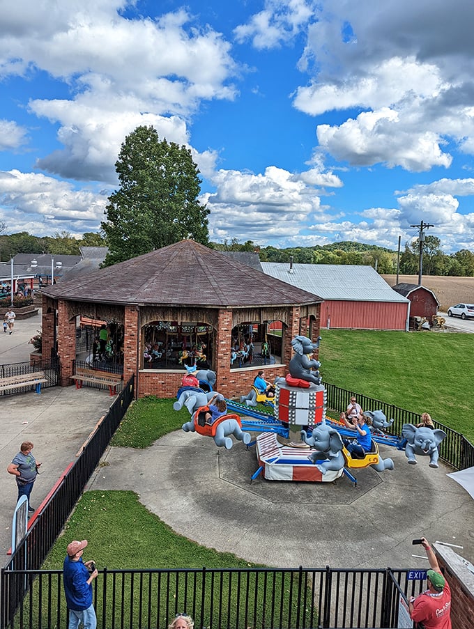 A bird's-eye view reveals the charming layout of Stricker's Grove, where classic rides nestle among green spaces like treasures in a time capsule.