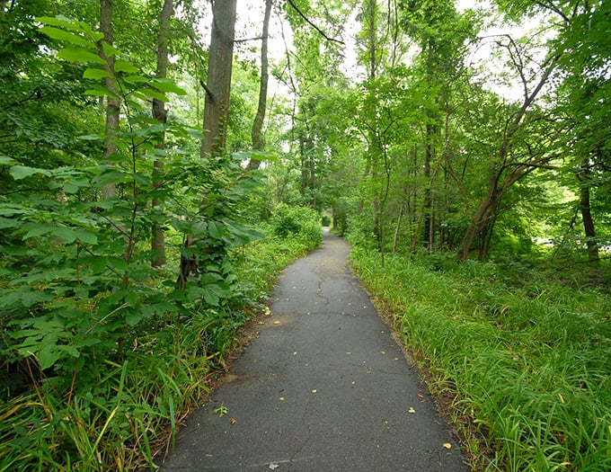 Summer's lush greenery creates a verdant tunnel, nature's air conditioning on even the hottest Cincinnati days.