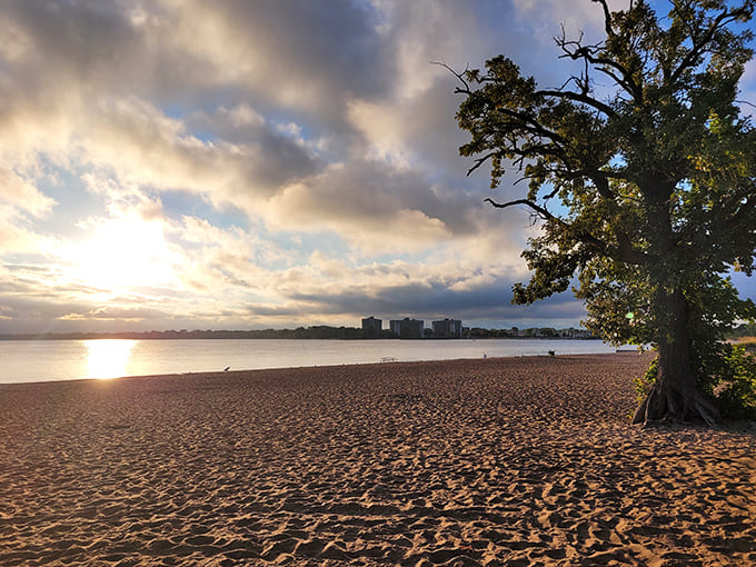Sunset at Lighthouse Beach turns the sky into a painter's palette, making everyone suddenly become a photographer whether they brought a camera or just have a smartphone.