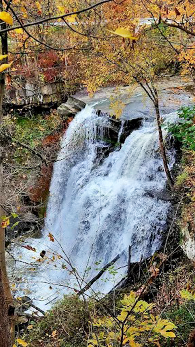From above, the waterfall reveals its full beauty as autumn leaves frame the rushing cascade below.