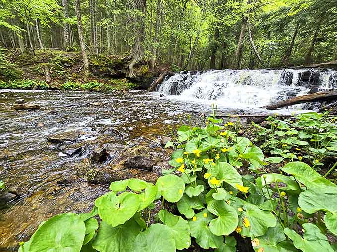 Lake Superior's turquoise waters create a stunning backdrop for hikers on the Chapel Loop, Michigan's premier waterfall trail.