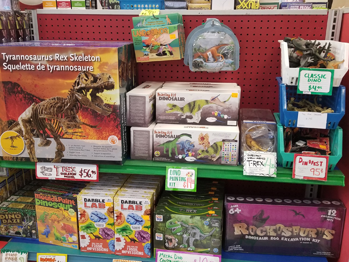 American Science & Surplus 4