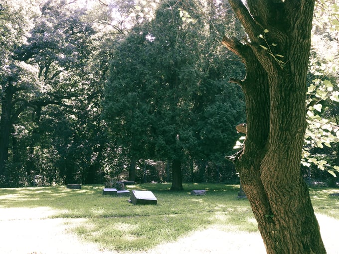 Bachelor's Grove Cemetery 6