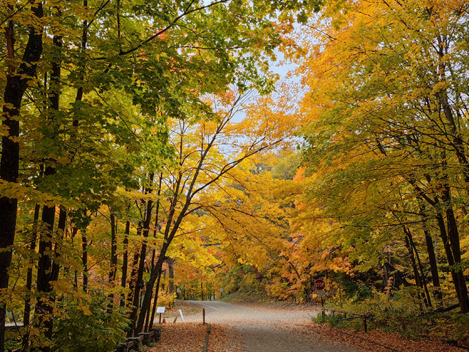 baraboo burger company 10