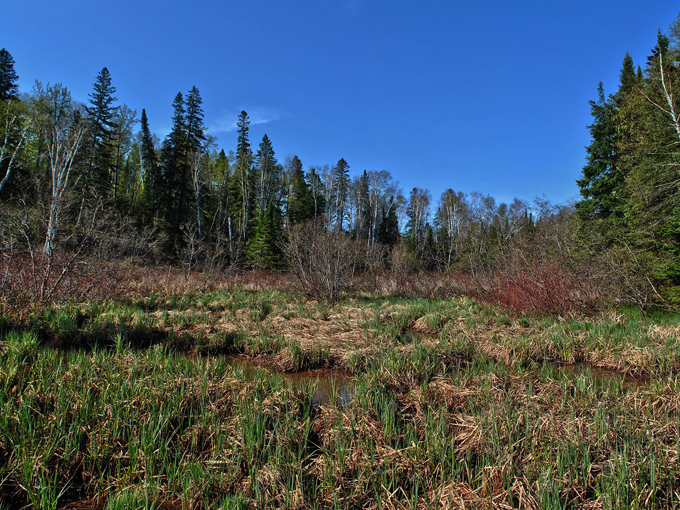Bear Beach State Natural Area 2