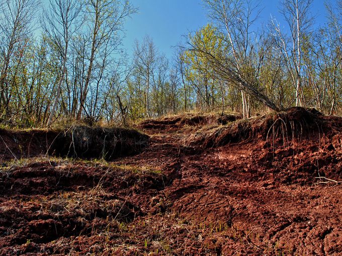 bear beach state natural area 9