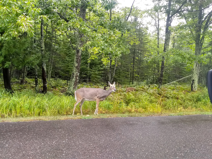 Big Bay State Park 7