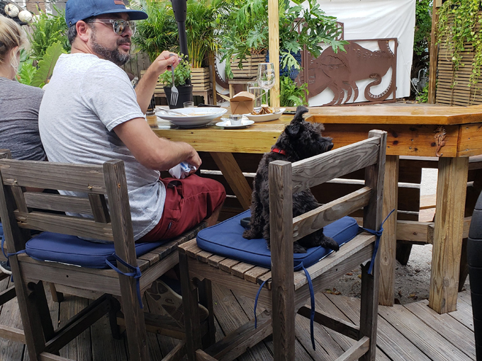 blue marlin seafood restaurant 7