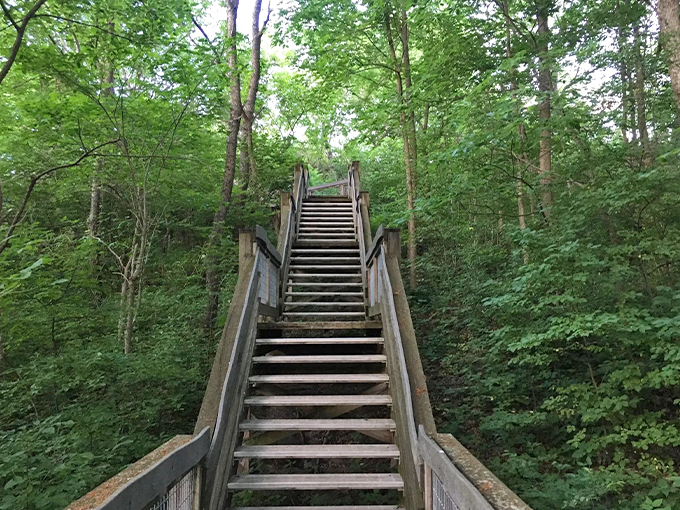 castle rock state park lookout 1