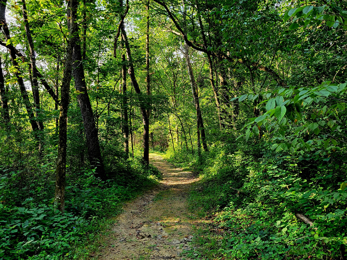 castle rock state park lookout 2