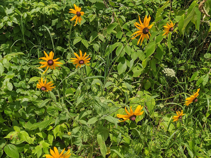 castle rock state park lookout 7