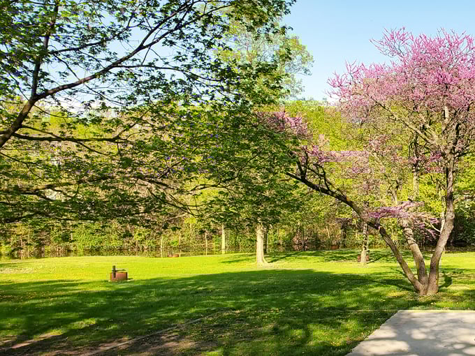 Channahon State Park 3