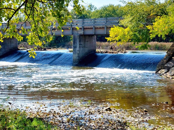Channahon State Park 4