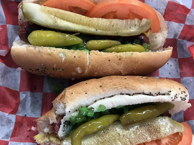 dog daze gourmet hot dogs 2