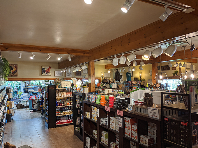 door county coffee & tea co 9