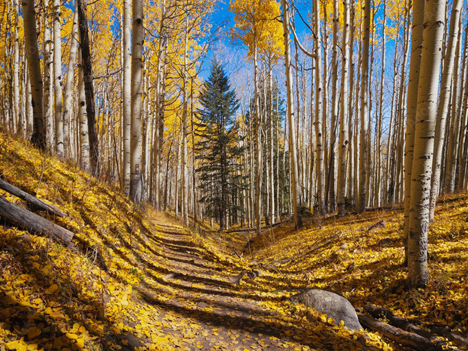 flagstaff, arizona 4