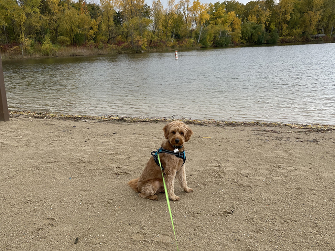 Fox Brook Park 6