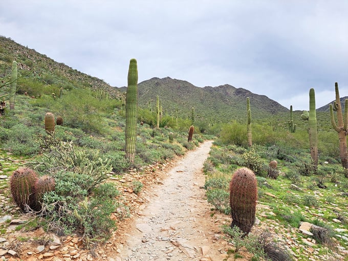 gateway loop trail 3