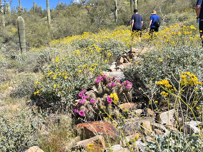 gateway loop trail 5