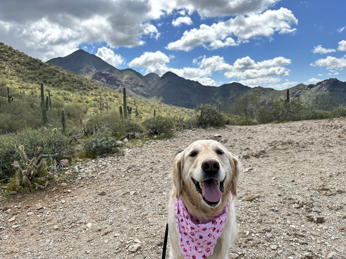 gateway loop trail 7