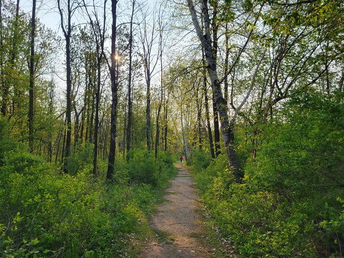 harrington beach state park 8