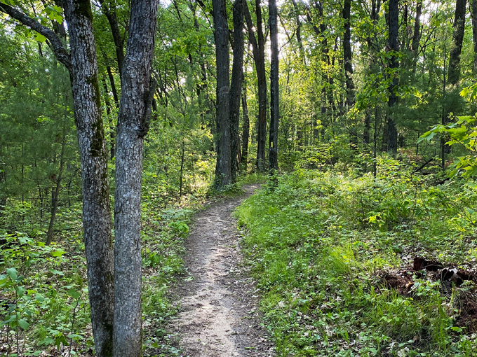 hartman creek state park 2