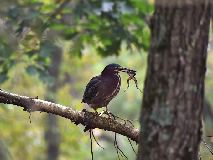 hartman creek state park 7