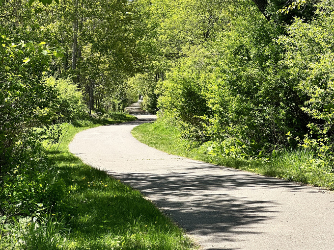 iron river, michigan 2