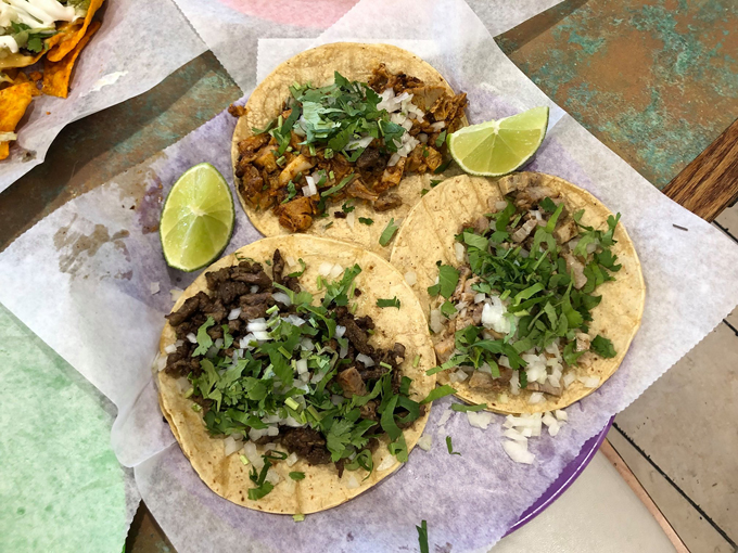 isidro's tamales & taqueria 7