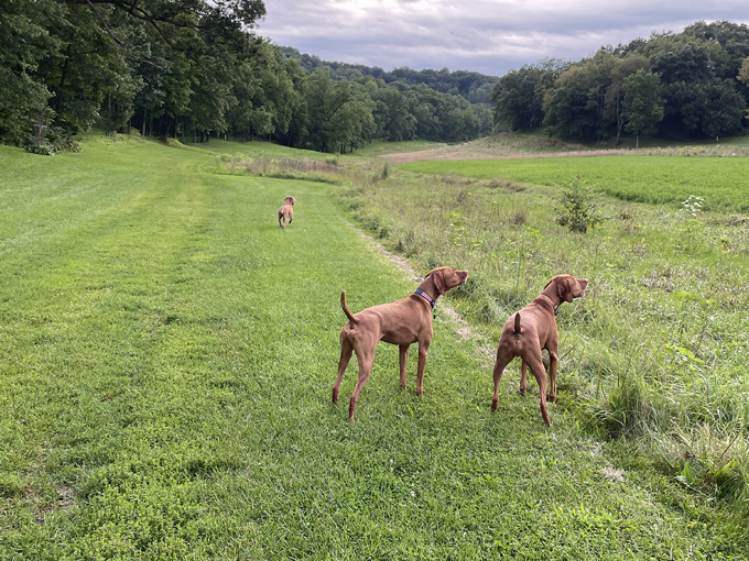 justin trails resort, llc 7