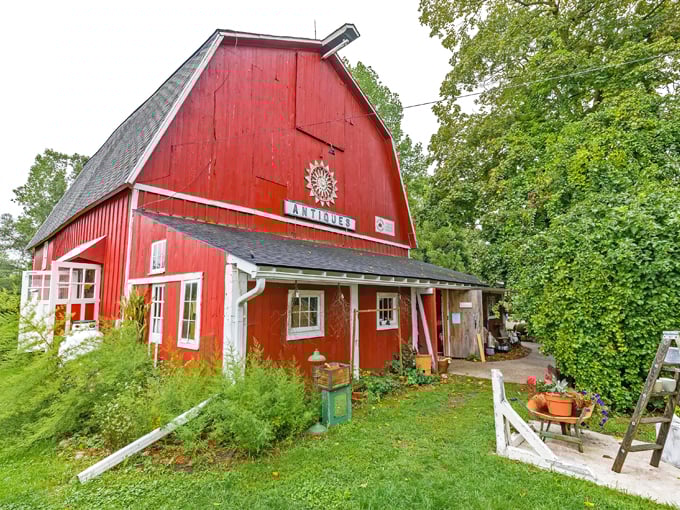 Lamb's Tail Antiques 1