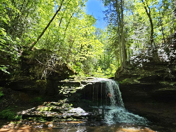lost creek falls trail (cornucopia) 2