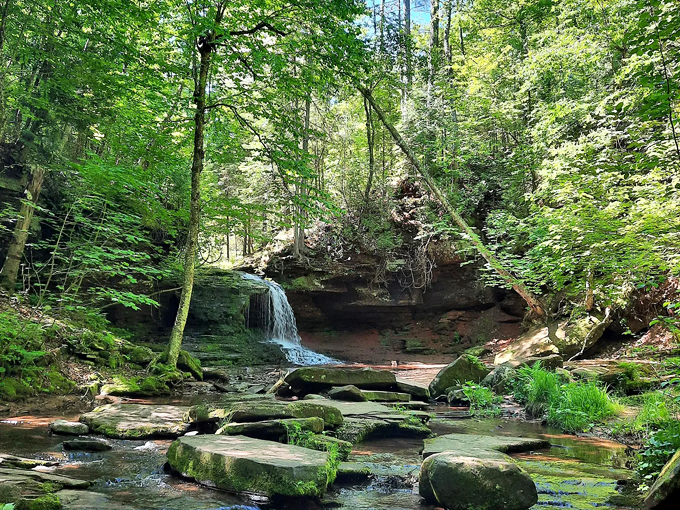 lost creek falls trail (cornucopia) 3