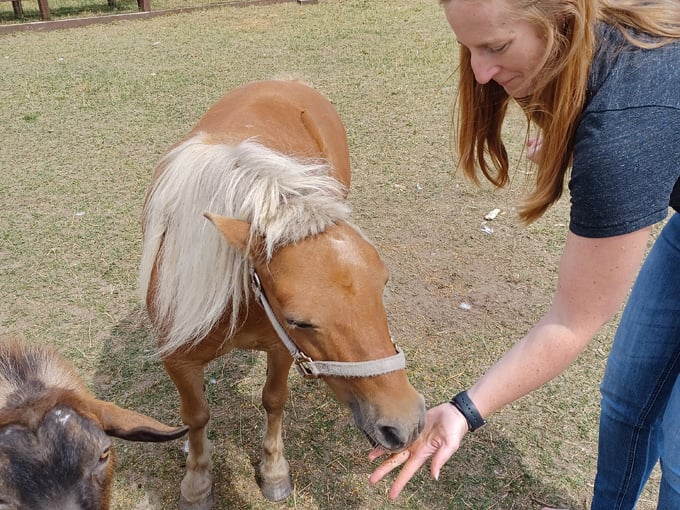 lumberjack steam train & camp 5 museum 6