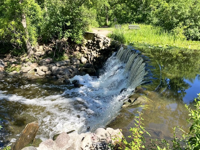 mallard lake trail (franklin) 1
