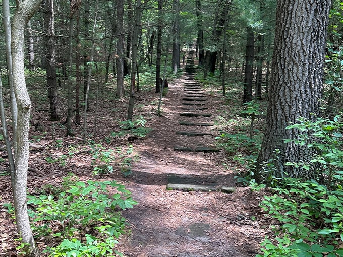 mill bluff state park 3