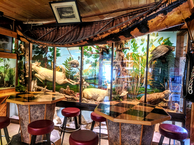 moccasin bar (hayward)