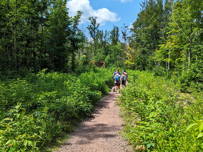 morgan falls at st. peter's dome recreation area (marengo) 1