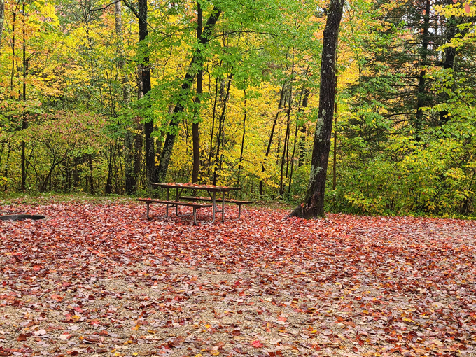 morgan park in pembine, wi 5