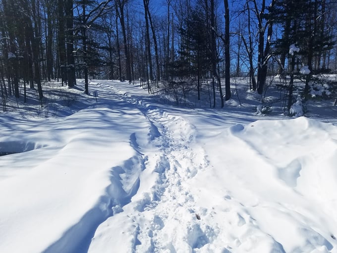 North Wood County Park 9