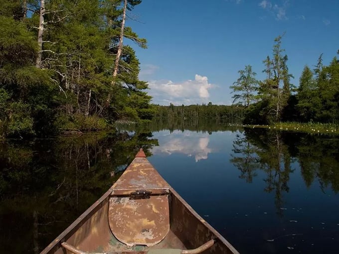 northern highland american legion state forest 2