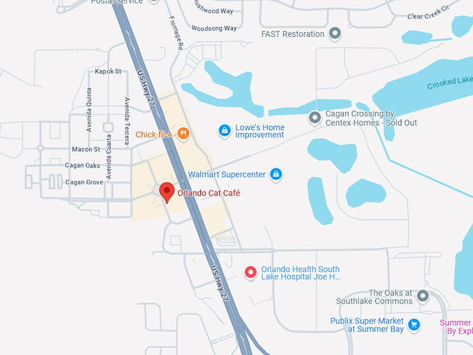orlando cat café 10 map