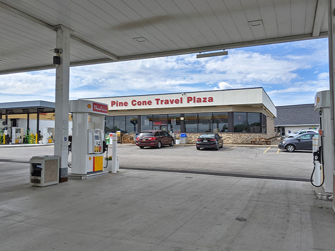 pine cone hidden bakery 1