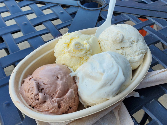 purple door ice cream 4