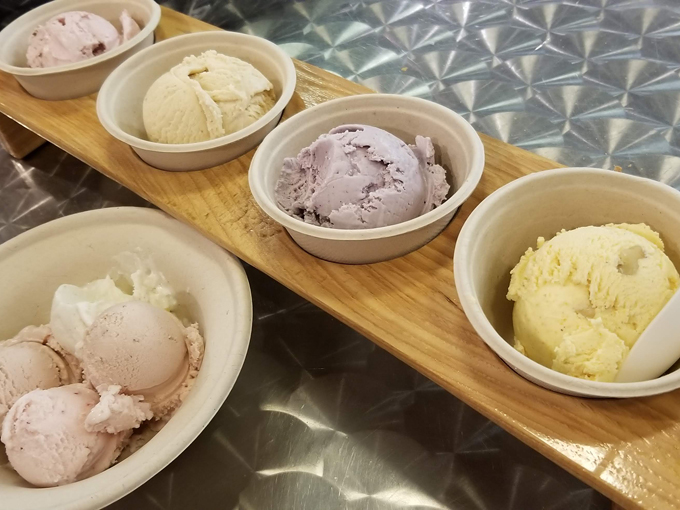 purple door ice cream 9