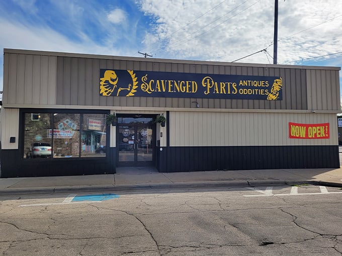 scavenged parts antiques + oddities 1