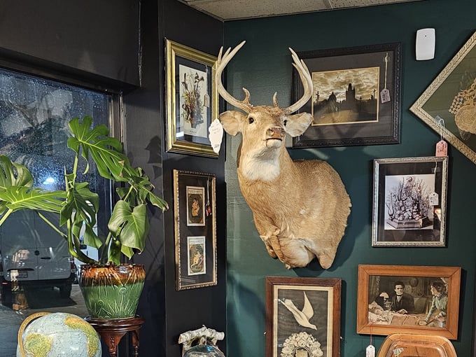 scavenged parts antiques + oddities 4